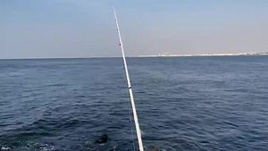 Ever tried these combination of rod and reel from Ecooda ?!! We assure that you will love it ! Checkout this rod @ https://tinyurl.com/2p8k9jh9 Reel @ https://tinyurl.com/3bs8s5kd #ecooda #ecoodafishing #initiate #blackhawk #angler #anglersuae #uaefishing #onlineshopping | Anglers UAE