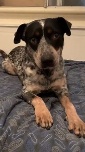 12K views · 434 reactions | Sneak Peak -**Please no calls for...