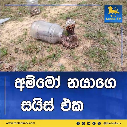 කොහොමද සයිස් එක #LankaTV #TheLankaTV #SriLankaNews #ලංකාටීවී #උණුසුම්පුවත් #නිවුස් #විශේෂපුවත් #LKA #SriLanka 𝗙𝗢𝗟𝗟𝗢𝗪 𝗨𝗦 𝗢𝗡 Subscribe to us on YouTube : https://www.youtube.com/@thelankatvofficial Like us on Facebook : https://www.facebook.com/thelankatv Visit our Website : https://www.thelankatv.com | The Lanka TV