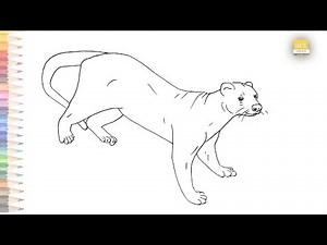 Fossa outline drawing easy 2 | How to draw Animal Fossa step by step | outline drawings