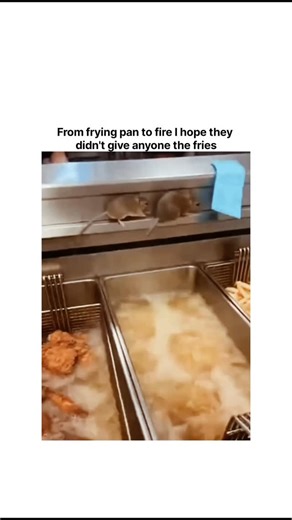 CRAZY TRENDS | The post features a short video from a fast-food kitchen showing a rat emerging from bubbling fryer oil amid cooking chicken and fries,... | Instagram