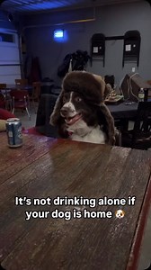 1.3M views · 16K reactions | Are dogs really a man’s best friend? 鸞...