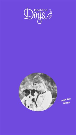 2.3K views · 15 reactions |  Free dog agility webinar: 5 things...