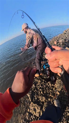 fashionfishing on Instagram: "how to catch sheepshead‼️ sheepshead can be tricky so here are some tips to help increase your chances!"