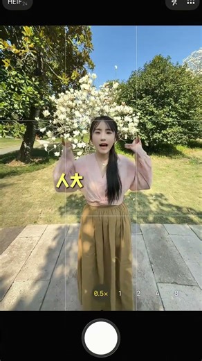 用这种方法捕捉Magnolia花的壮丽之美