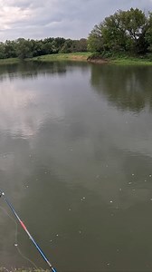 264K views · 1.4K reactions | I thought they were GAR but they were NOT!  #reelsvideoシ #bnmpoles #tips #fishing #slabs #crappie #summer #August #spillway #river | KidKrappie | Facebook