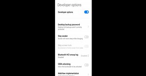 Скачайте и запустите Developer Options на ПК или Mac (Эмулятор)
