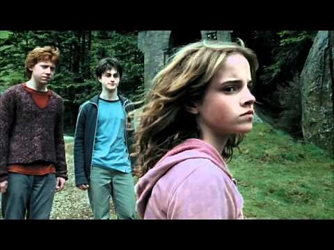 "You foul, loathsome, evil, little cockroach!" | Harry Potter and the Prisoner of Azkaban