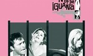 The Night of the Iguana - Where to Watch and Stream Online – Entertainment.ie