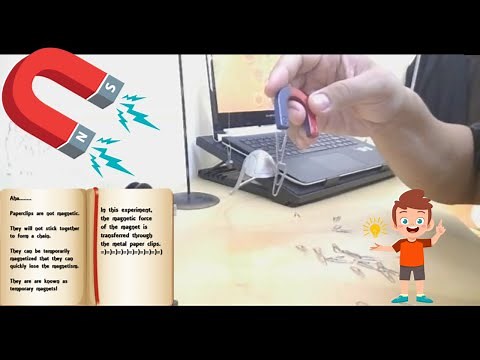 Simple Experiments: Magnet Bars, Horseshoe Magnet and Paper Clips