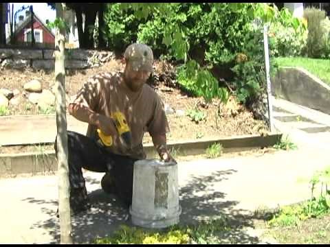 Watering young trees with a 5 gallon bucket