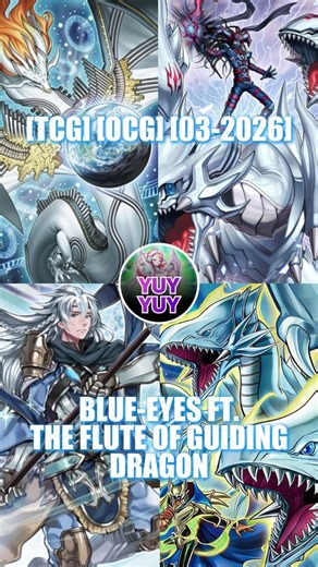 [TCG] [OCG] Blue-Eyes Ft. The Flute Of Guiding Dragon Combo #yugioh #yugiohtcg #yugiohocg #blueeyes