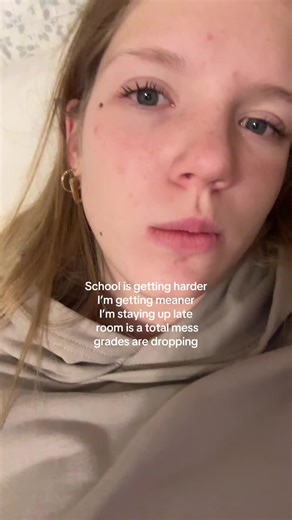 🪿🪿🪿 (@you.dont.know.me.174)’s video of life with school