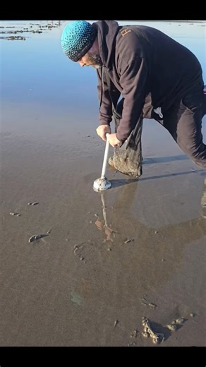 Local clammer Jeremy Hefner shows how to dig a razor clam along the Oregon coast. 🦀🧠📚🤌🏽⚓️🗺️📍 #crab #clamming #hunting #outdoors #fishingtrip | Casey Lee Swayze