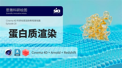 C4D科研绘图渲染教程基础篇 21 蛋白质 redshift arnold 渲染