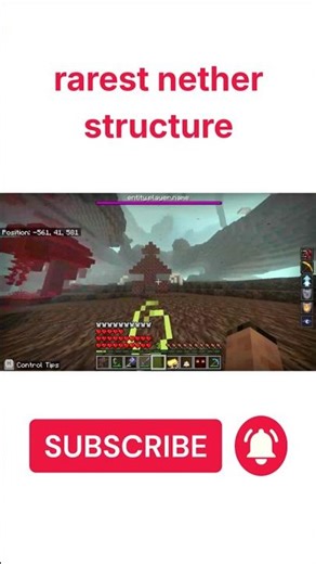 rarest nether structure #minecraft