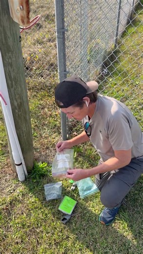 #geocaching we are in Gulfport Ms, finding a letterbox. Just a simple and fun geocache.