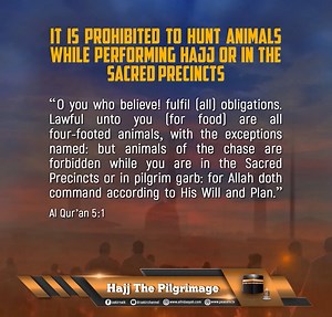 57K views · 181 reactions | Islamic Knowledge Center on Reels | Facebook