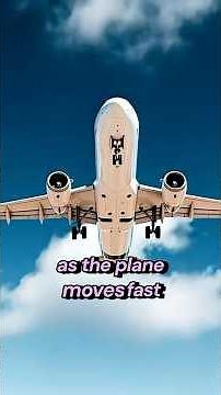 Ever Wonder How Airplanes Stay Up?