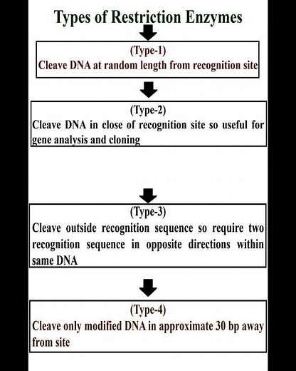 Types of Restriction Enzymes #geneticteacher