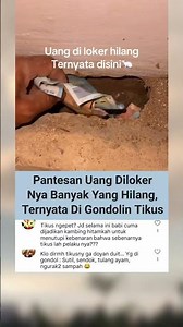 Turns out mice love money too😅 #latestnews #trending #shorts