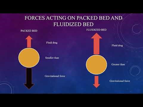 Flow of fluids through packed bed and fluidized bed.