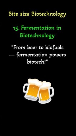 Fermentation: Microbes Making Magic