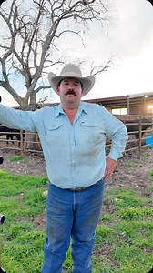 532K views · 10K reactions | Everyone always asks about these shirts and vest so we put it to the test for you! Love @aggearclothing products! Use code BAR7RANCH to shop! #AgGear #KeepRanchin | Bar 7 Ranch | Facebook