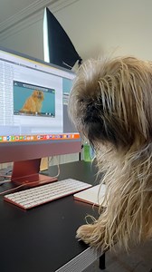 1.2K views · 7 comments | Take #78 - You’re your own worst critic. Sound on for desperate pleas of 3 casting directors. | Citizen Jane Casting | Facebook