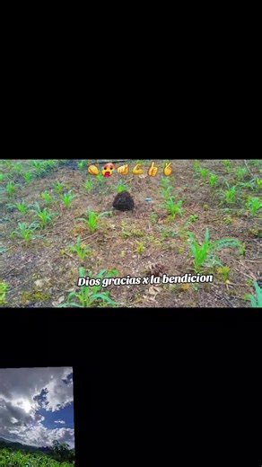 Cuentas recomendadas