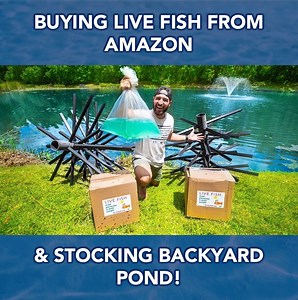 I bought LIVE fish from Amazon and started my own little Amazon fish habitat 🐟 | Jiggin' With Jordan
