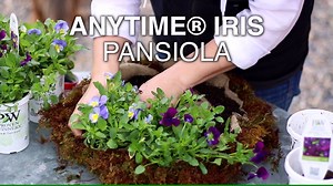 115K views · 1.4K reactions | Celebrate spring with a wreath of...