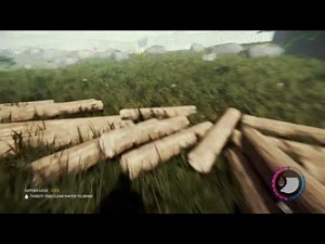 The forest holz duplizier glich