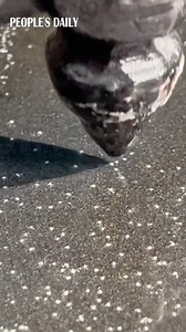 Give this Chinese folk artist a hammer and a smooth stone and he can create a lifelike portrait of #LionelMessi. | People's Daily, China