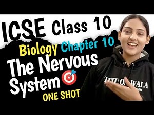 icse class10 biology|icse class 10 bio chapter 10|icse class 10 biology chapter10 the nervous system