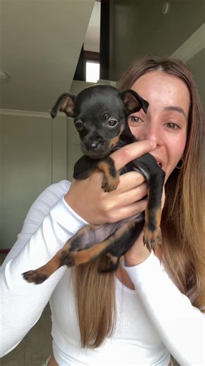 MI LUPITAAA LA AMOOOOOO 🐶🐶🐶💕💕💕💕💕 #perro #feliz | happy dog