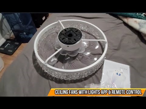 Ceiling Fans with Lights App & Remote Control