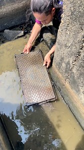 5.4K views · 33 reactions | Catfish and snakehead fish aggressive | Angelo Vlog | Facebook