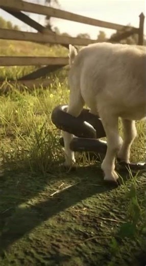 Goat vs Snake: Intense Wildlife Encounter & Animal Rescue 🐐🐍