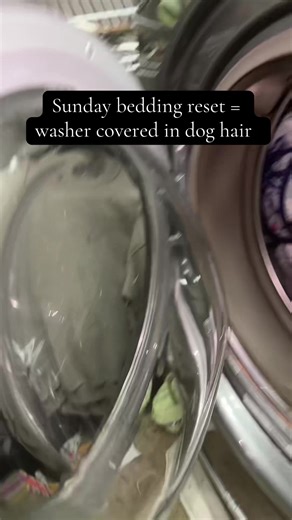 Effective Pet Hair Removal in Washing Machines