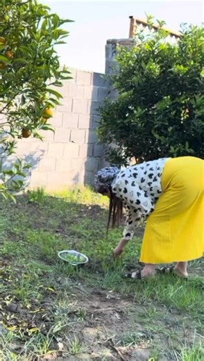 25K views · 666 reactions | #village #villagelife #cooking #home #traditional #villagelifestyle #homecooking | Traditional Cooking | Facebook