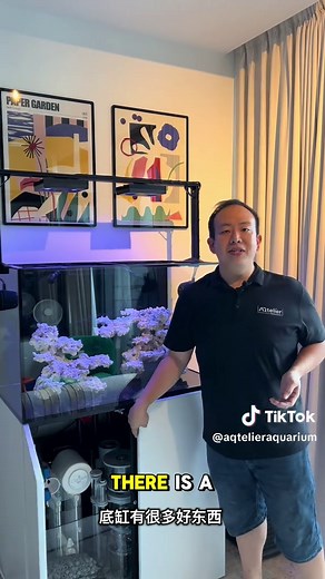 Waterbox Marine X90.3 Aquarium Installation Overview