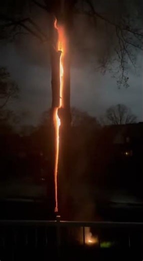 Lightning Destroys Tree on Camera!
