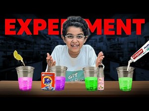 Acid vs Base Experiment At Home Using Natural Indicator | Neon School #experiment #acid #base