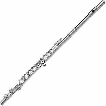 Sounds of musical instruments. Flute.