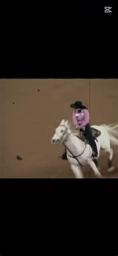 I just dream... #viral #sso #capcut #edit#template #shorts #viralshortsvideo#horses#barrelracing#dog