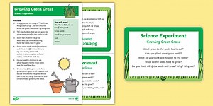 EYFS Growing Green Grass Science Experiment and Prompt Card Pack