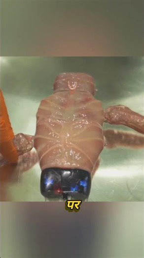 Scientist Created Human LEGO Monster