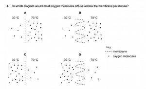 In which diagram would most oxygen molecules diffuse across the... | Filo