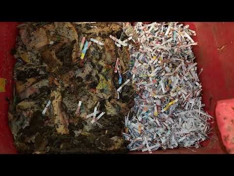 Mixed Worm Bin 4 Check-In, Harvest, & Feeding After 17 Days 27 December 2025 #vermicompost #wormbin